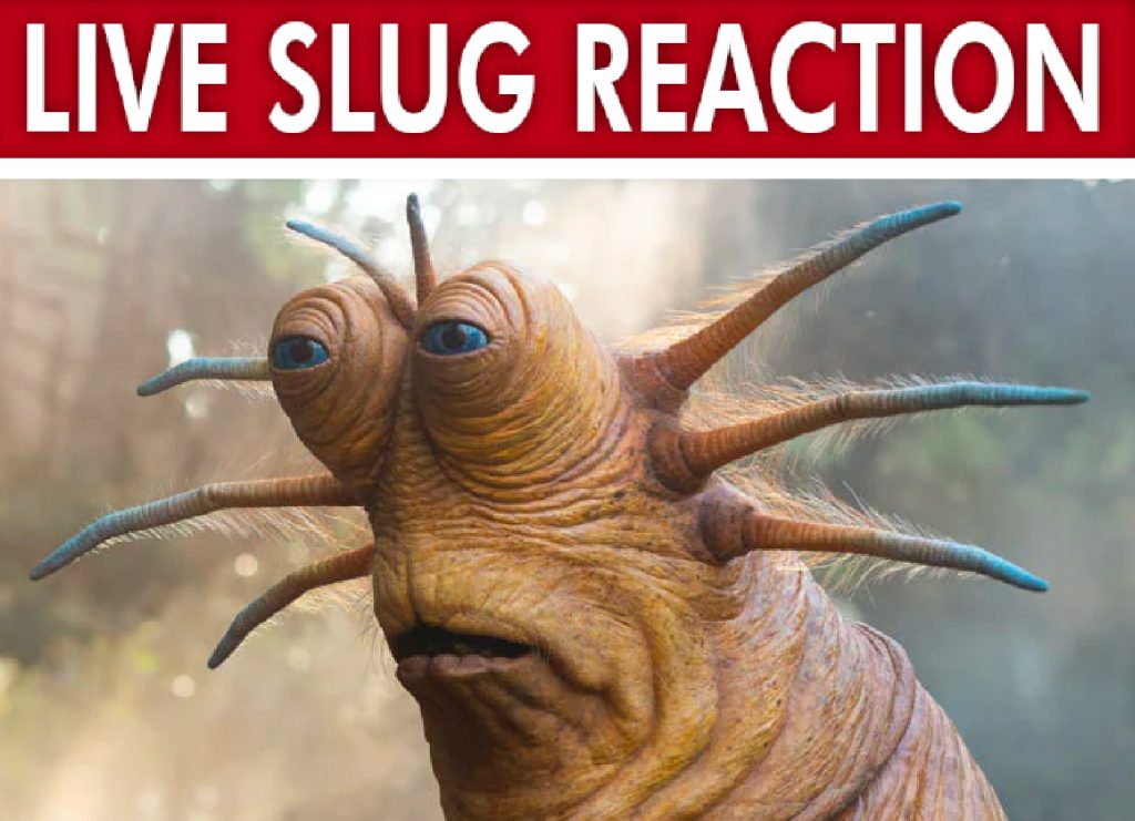 IT’S RATE DECISION DAY – EZFKA – brought to you by Robert2013